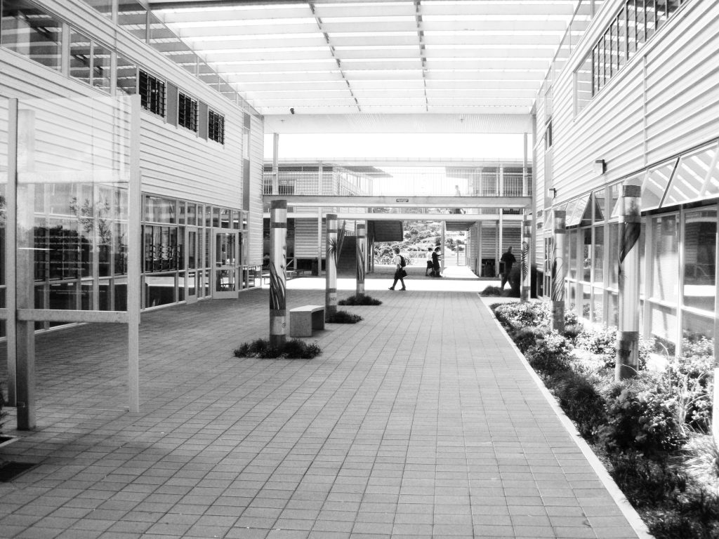 BDSC Building - 01_BW • BDSC