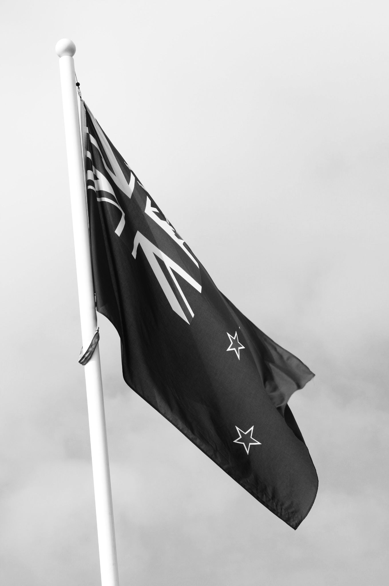 BDSC Building - Flag IMG_2909_BW • BDSC