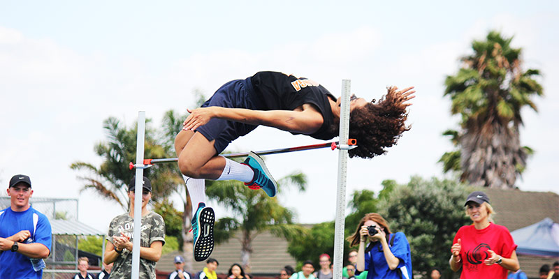 Newsletter, Edition 1 • BDSC