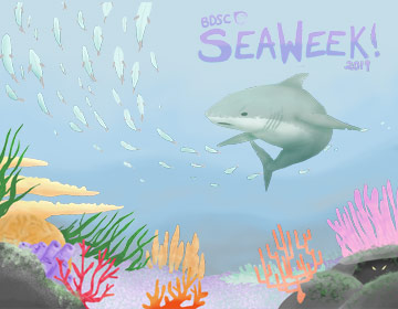 Sea Week • BDSC