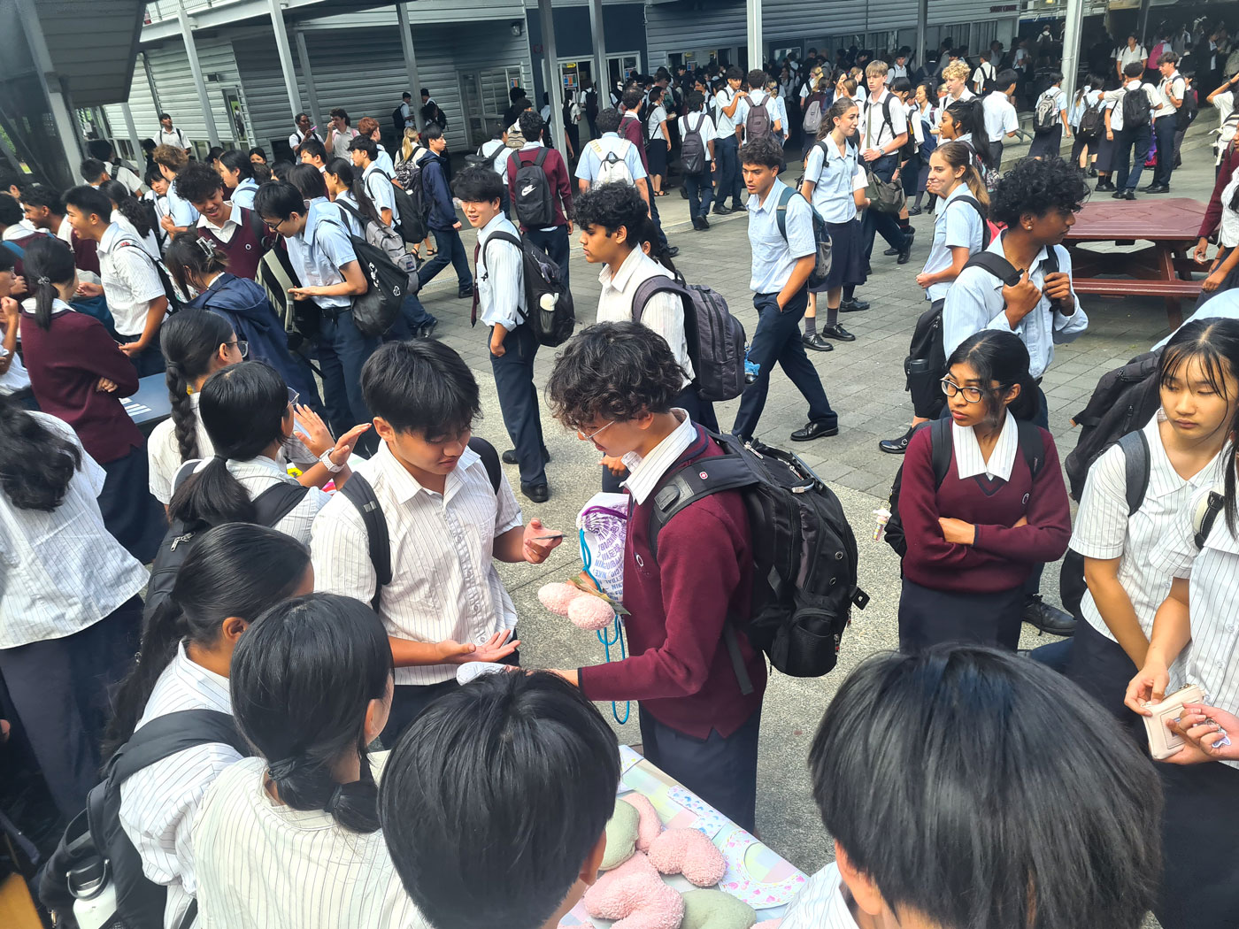 L1 Market Day (1) • BDSC