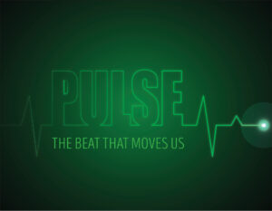 Botany Downs Secondary College