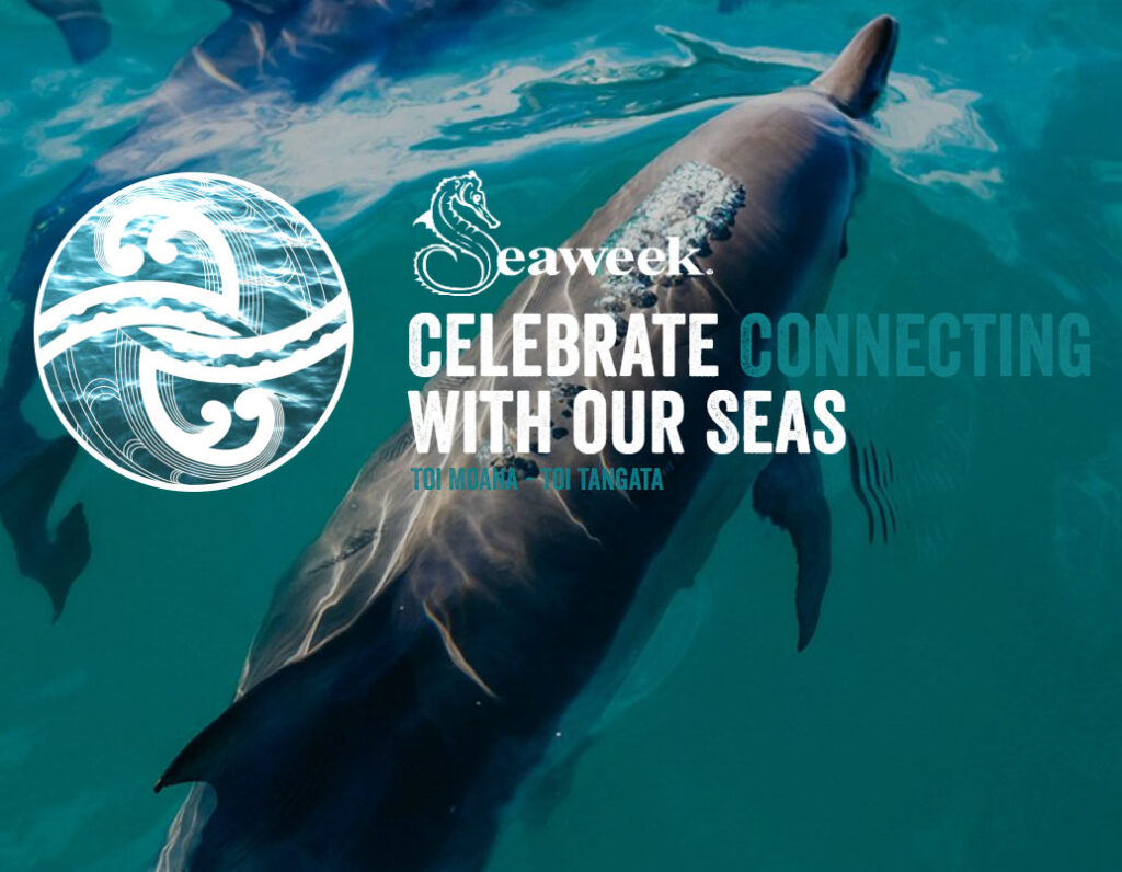 BDSC Events Calendar