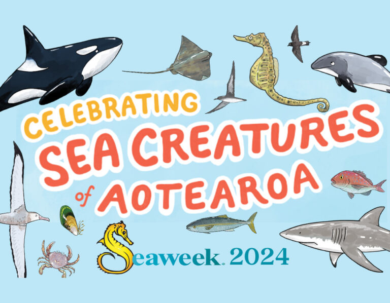 BDSC Events Calendar