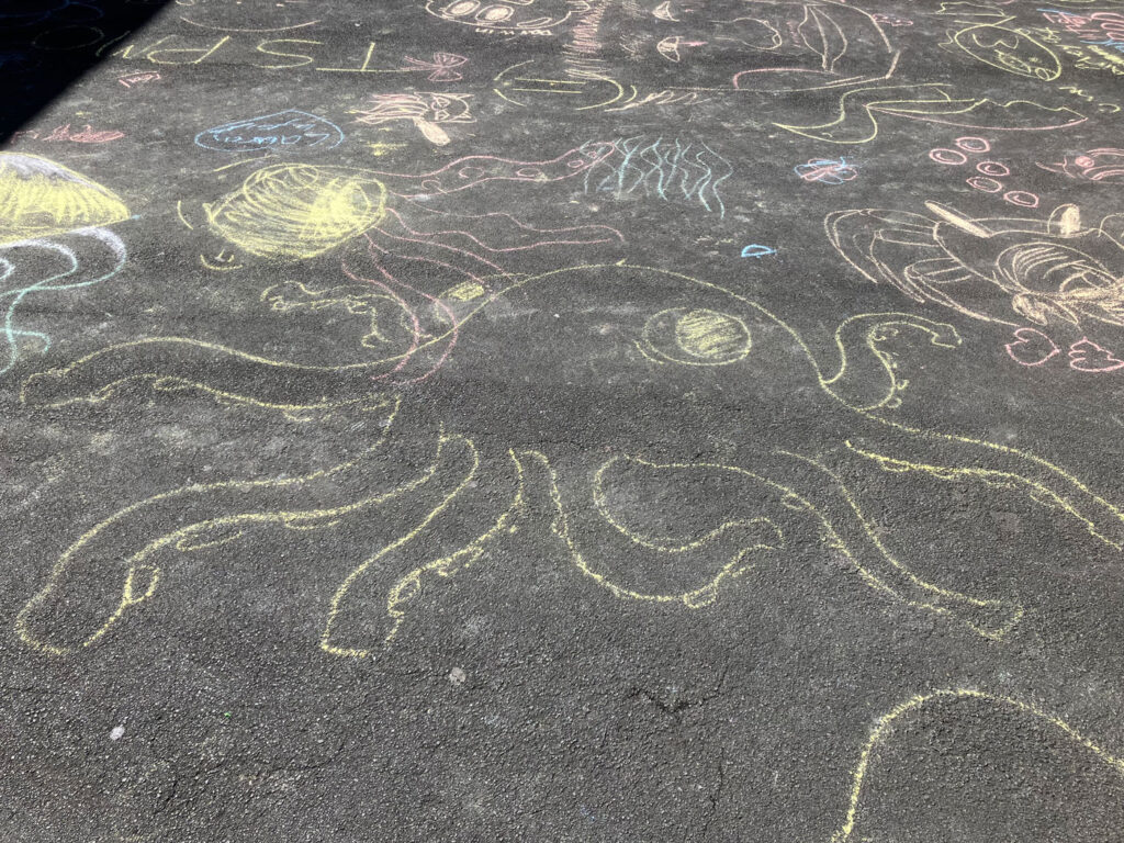 Sea Week 2025 IMG 6817 • BDSC