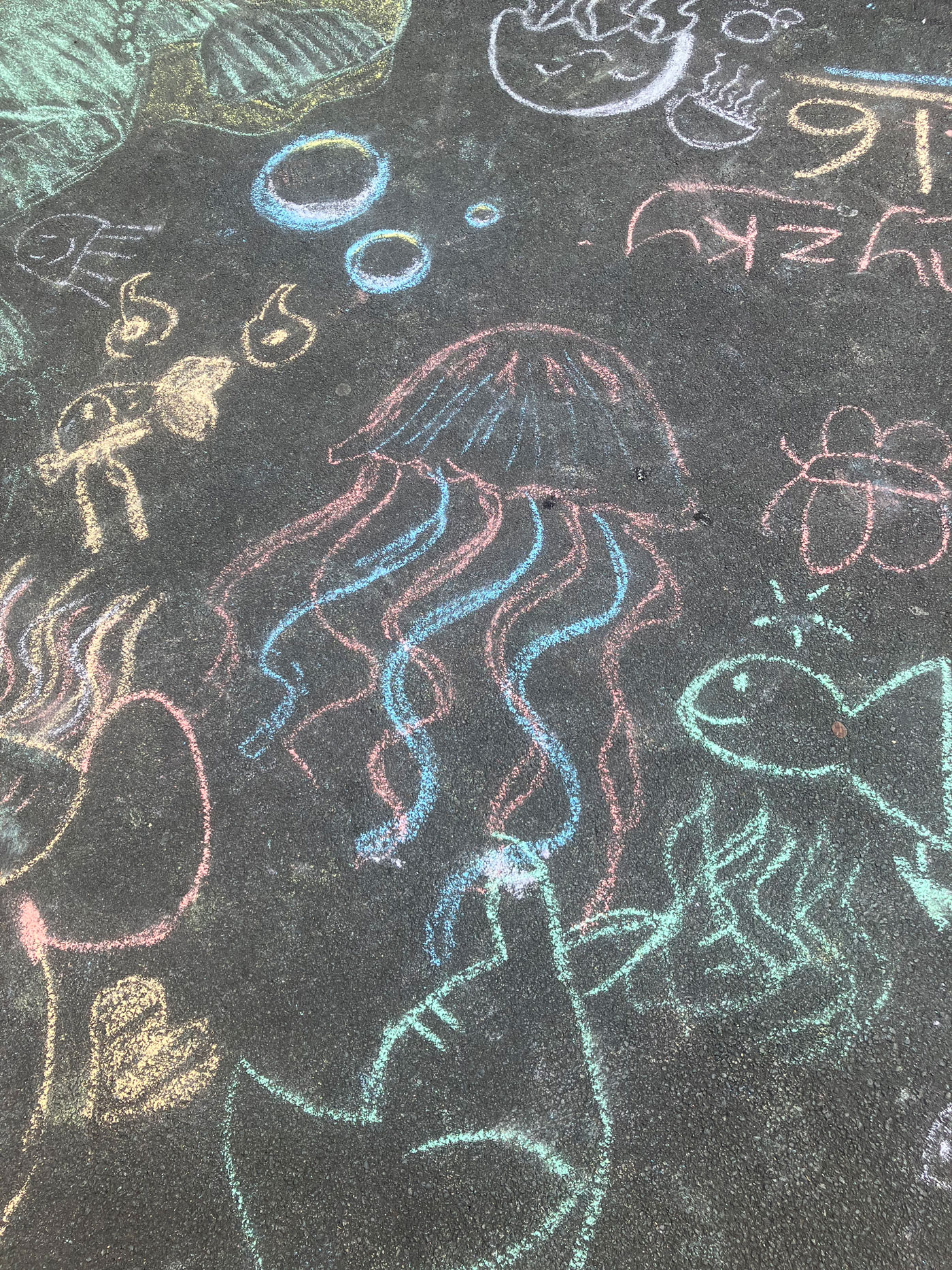 Sea Week 2025 IMG 6825 • BDSC